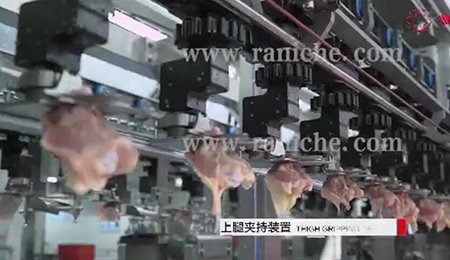 VIDEO - Poultry Slaughterhouse Equipment Manufacturer